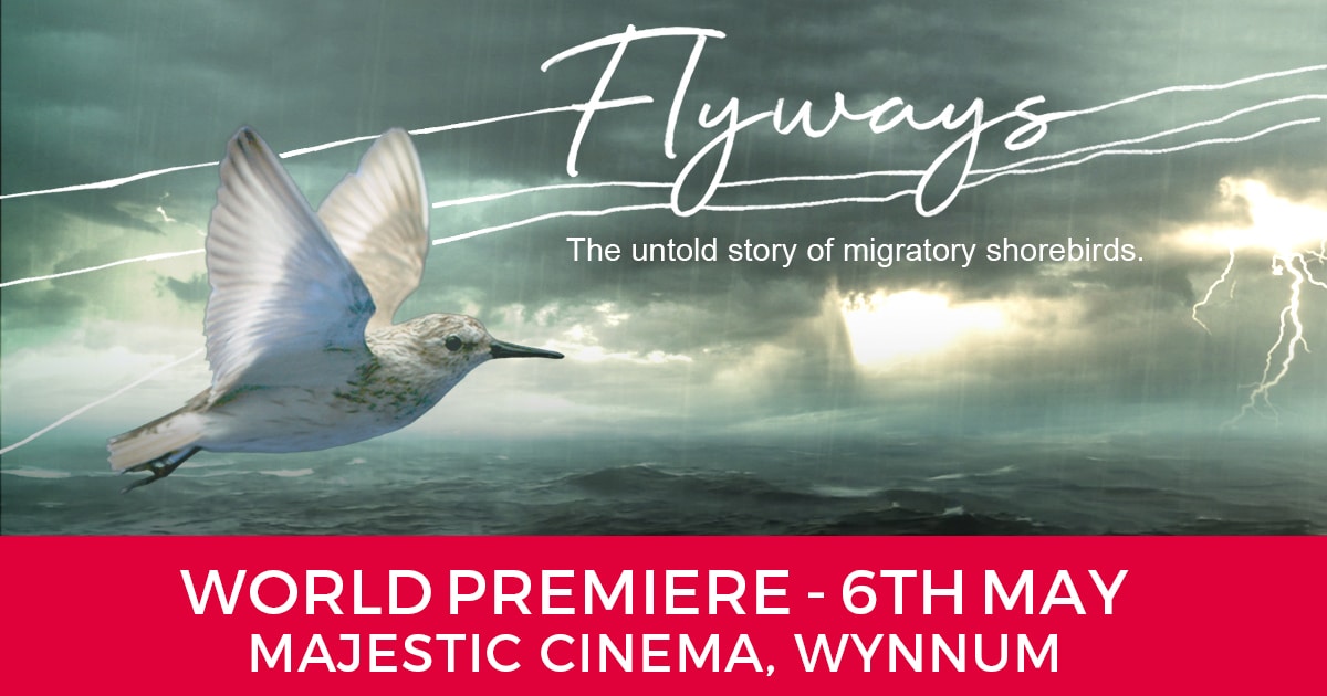 Flyways Wynnum Screening – World Premiere | Majestic Cinema - Antidote ...