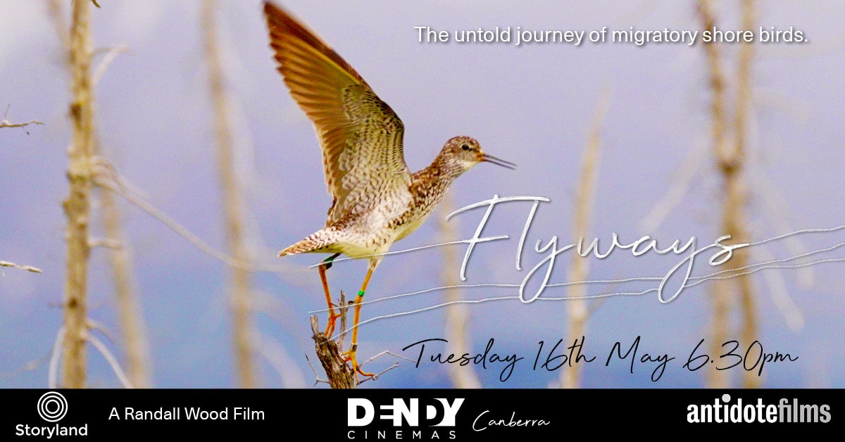 Flyways Screening Dendy Canberra - Antidote Films