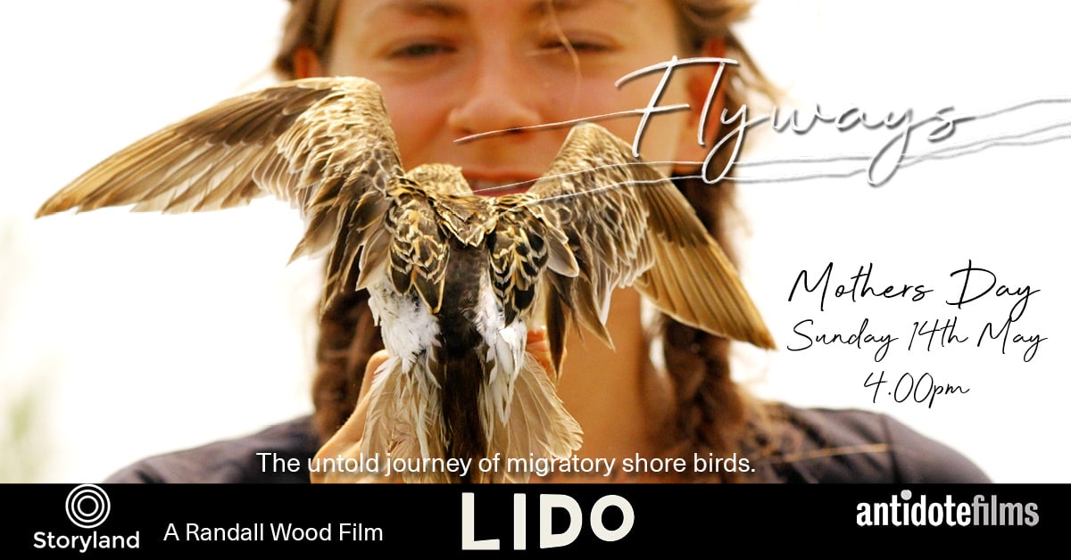 Flyways Screening Lido Cinema Hawthorne - Antidote Films