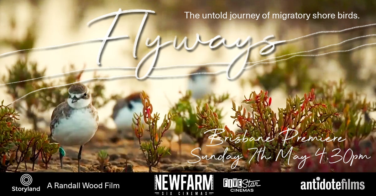 Flyways Brisbane Premiere Screening | New Farm Cinema - Antidote Films